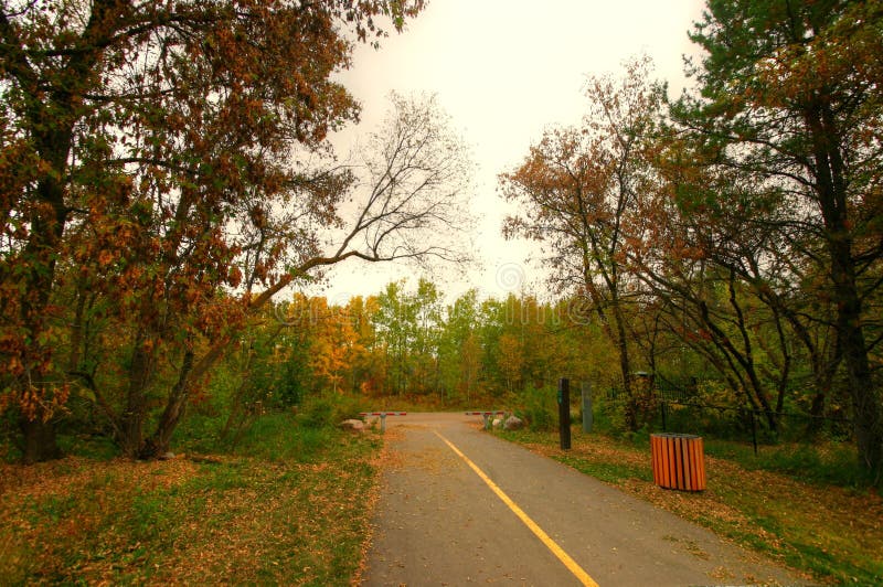 Edmonton Trails stock photo. Image of trail, trees, pathways - 65183268