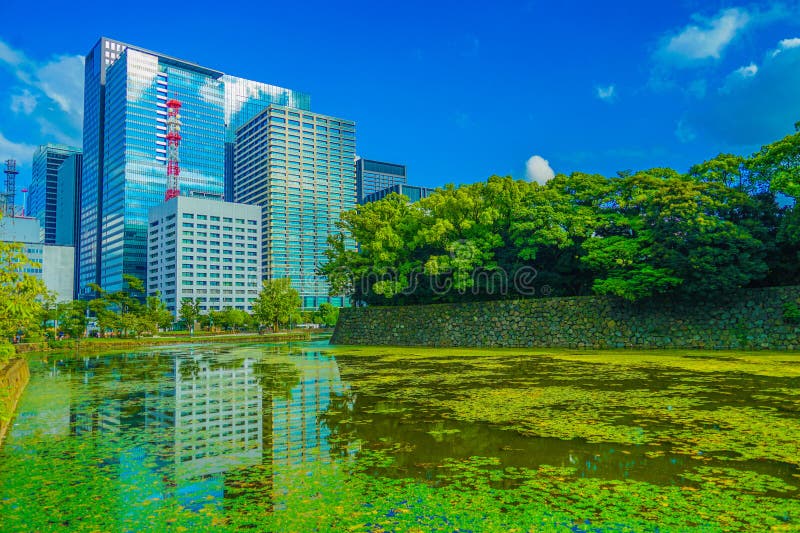 Edo Castle Ishigaki editorial photography. Image of blue - 286679272