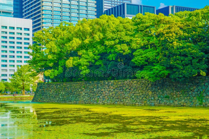 Edo Castle Ishigaki stock photo. Image of castle, archeological - 286681336