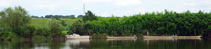 Edo River, Tokyo, Giappone fotografia stock. Immagine di giapponese ...