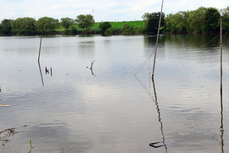 Edo River, Tokyo, Japan stock photo. Image of plant, bush - 75595010