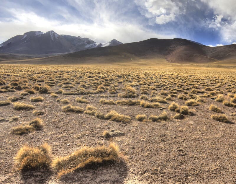 Eduardo Alveroa, Uyuni Bolivia Stock Photo - Image of graveyard ...
