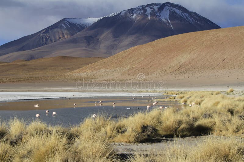 Eduardo Alveroa, Uyuni Bolivia Stock Photo - Image of boulder, blue ...