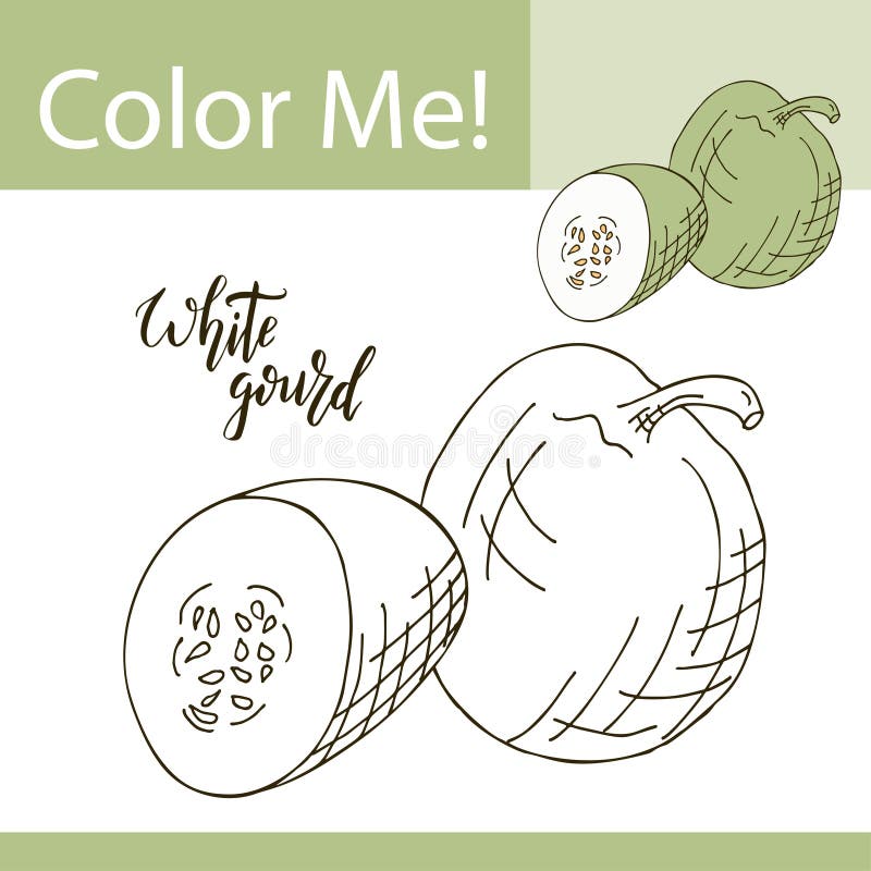 Education Coloring Page with Vegetable. Hand Drawn Vector Illustration ...