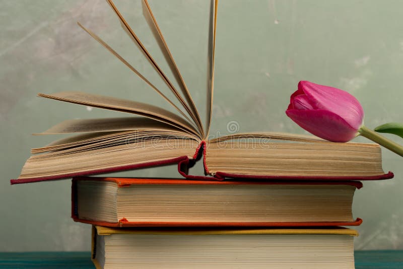 Education Concept - Flowers Tulips and Books Stock Image - Image of ...