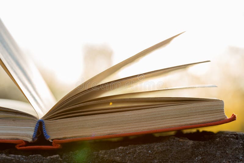 Education Concept - Open Book Under Sunset Sunlight Stock Photo - Image ...