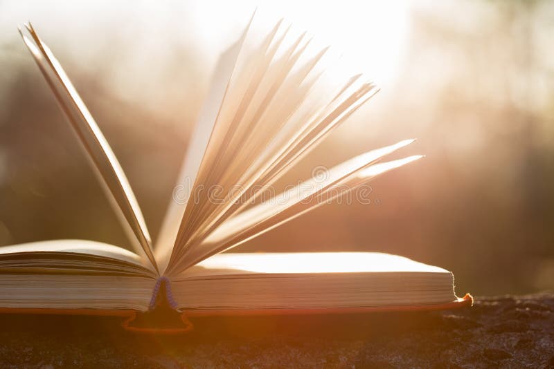 Education Concept - Open Book Under Sunset Sunlight Stock Image - Image ...