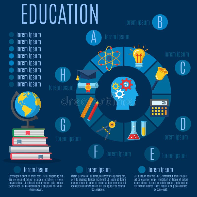 Education flat infographic stock vector. Illustration of isolated ...