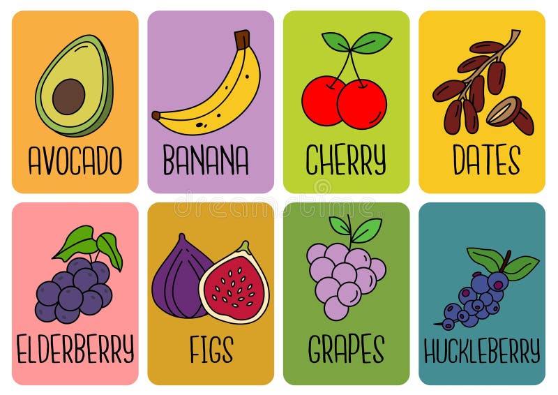 Education Fruit Poster (Flashcard) - 1 Stock Illustration ...