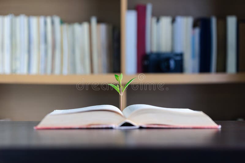 Education Learning Concept. Book in Library with Old Open Textbook ...