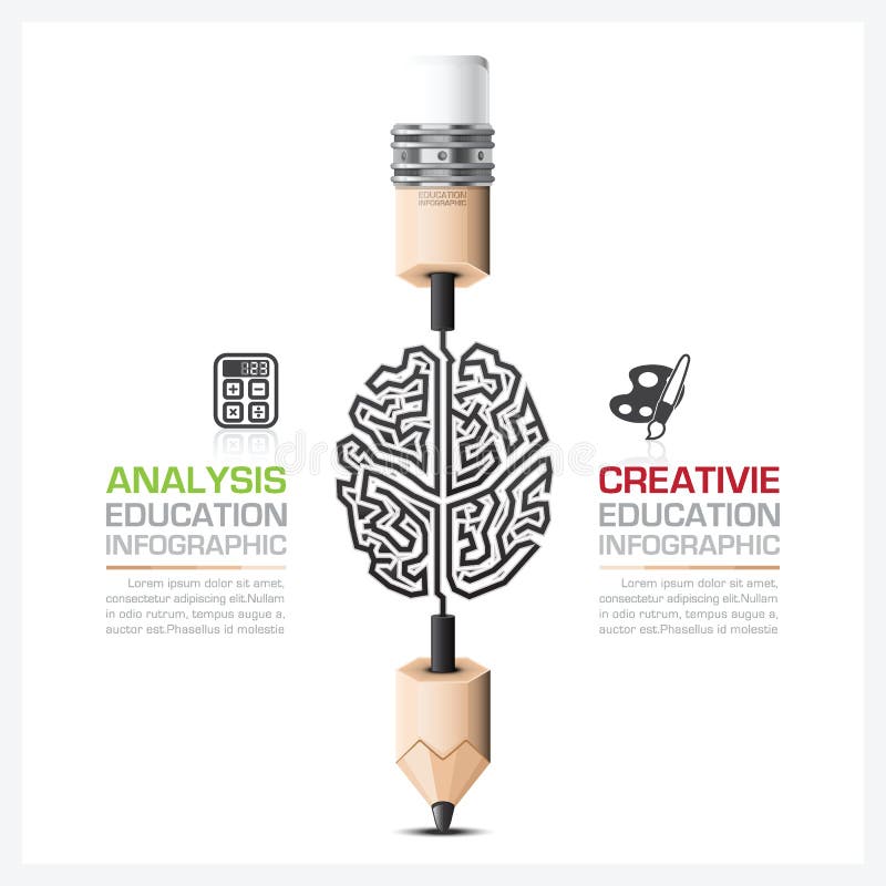 Brain Shape Education and Learning with Pencil Timeline Infograp Stock ...