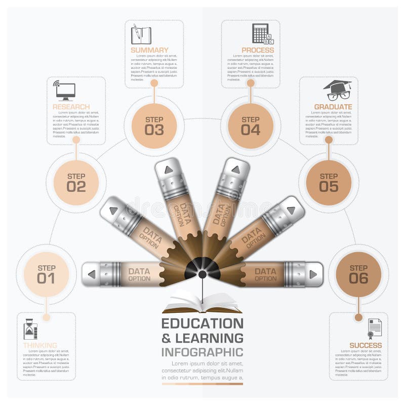 Education and Learning Step Infographic with Carve Brain Shape Stock ...
