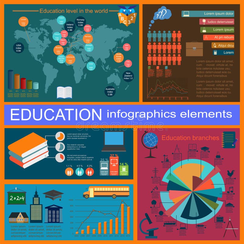 Education Infographics. stock vector. Illustration of flattened - 41430443
