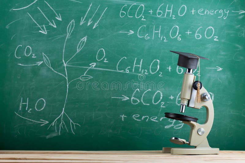 Education Sciences Concept Graduation Cap Microscope Desk Auditorium ...