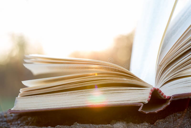 Education and Wisdom Concept - Open Book Under Sunlight Stock Image ...