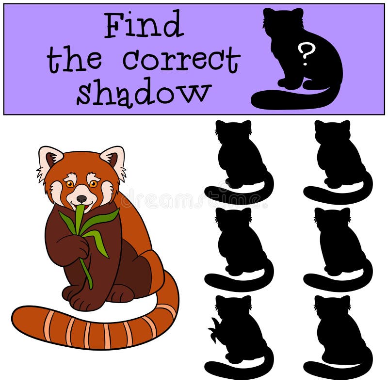 Red Panda Shadow Activity Stock Illustrations – 18 Red Panda Shadow ...