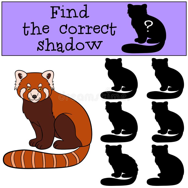 Red Panda Shadow Activity Stock Illustrations – 18 Red Panda Shadow ...