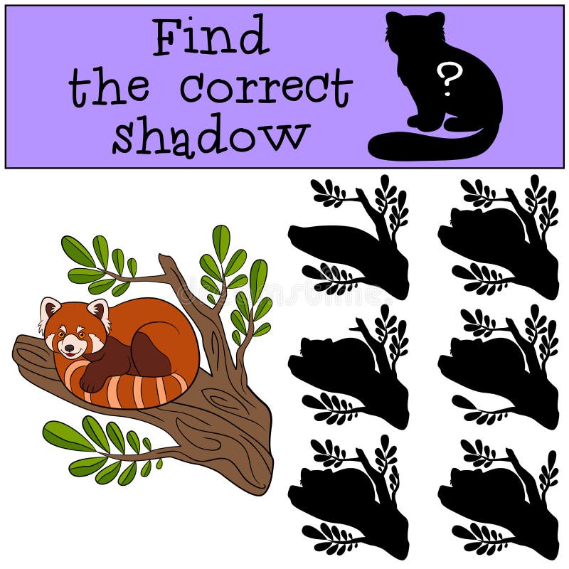 Educational Game: Find the Correct Shadow. Little Cute Red Panda Stock ...
