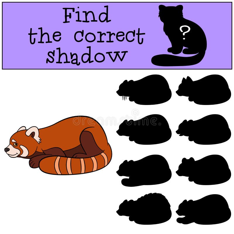 Red Panda Shadow Activity Stock Illustrations – 18 Red Panda Shadow ...