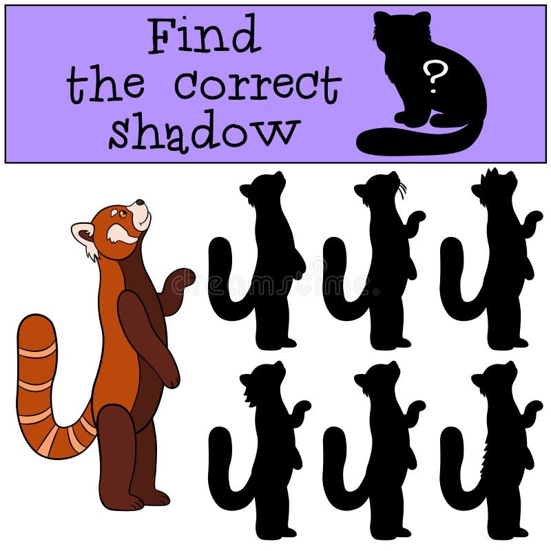 Red Panda Shadow Activity Stock Illustrations – 18 Red Panda Shadow ...