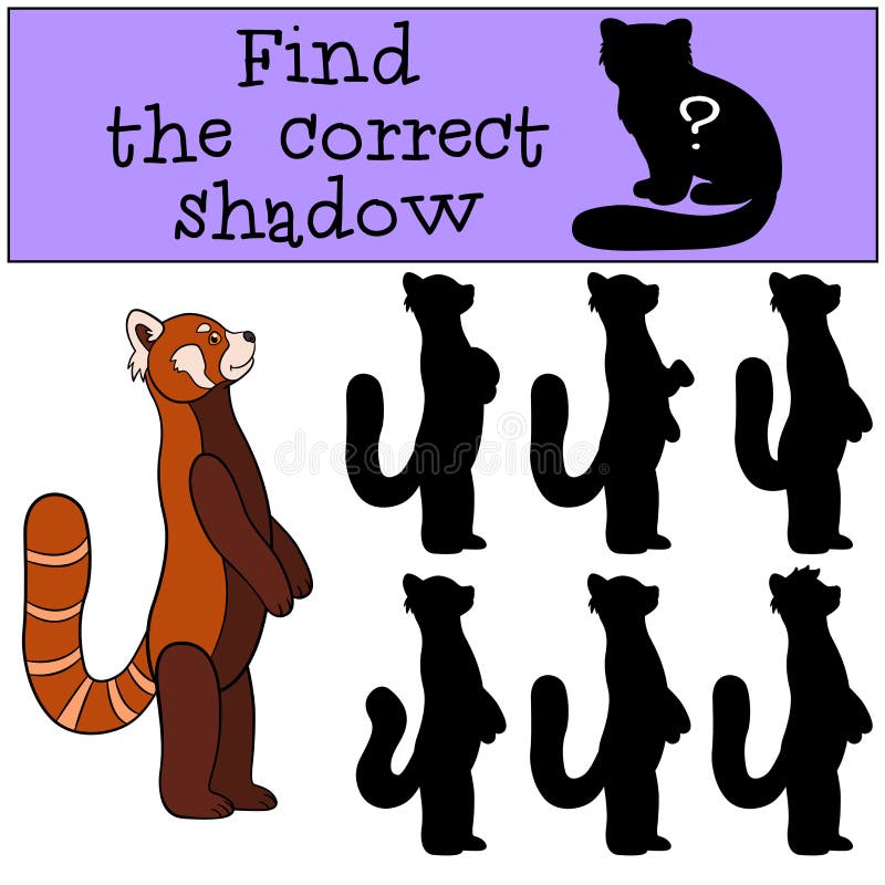 Red Panda Shadow Activity Stock Illustrations – 18 Red Panda Shadow ...