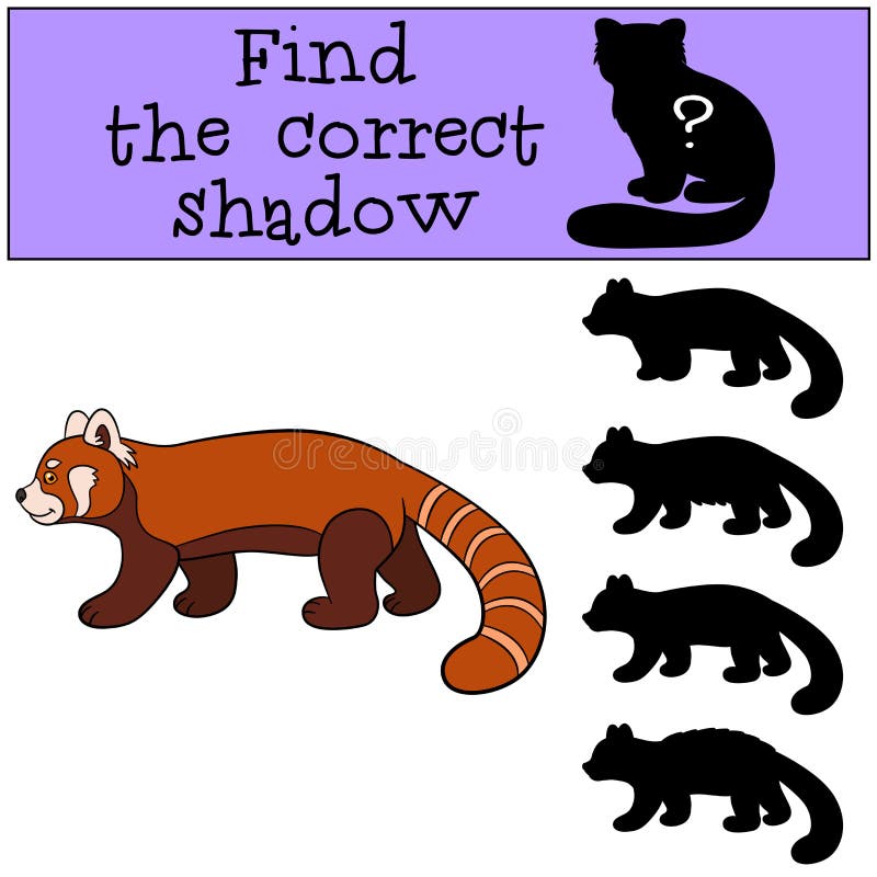 Educational Game: Find the Correct Shadow. Little Cute Red Panda Stock ...