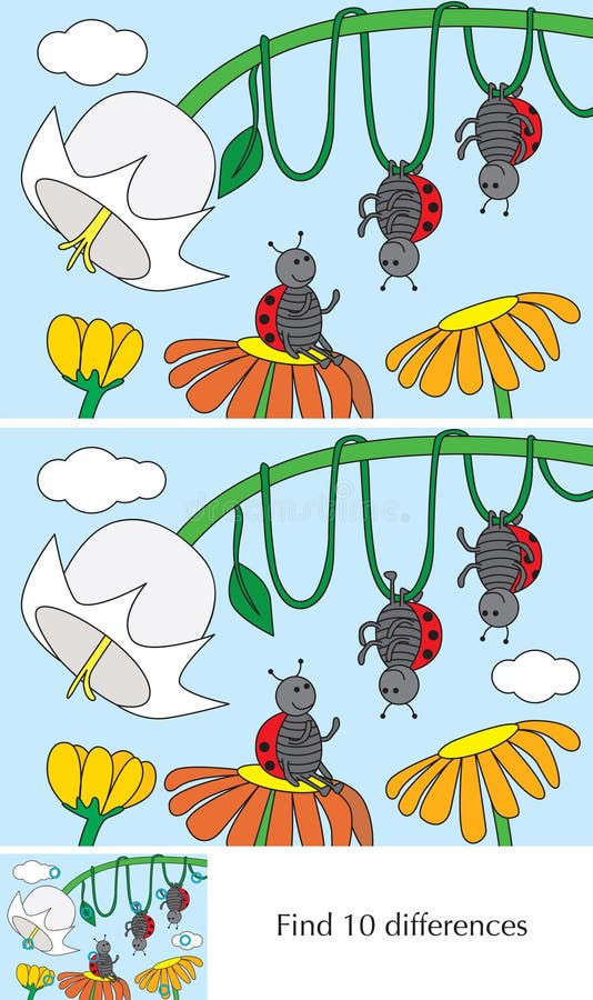 Find 10 differences stock vector. Illustration of drawing - 361060692