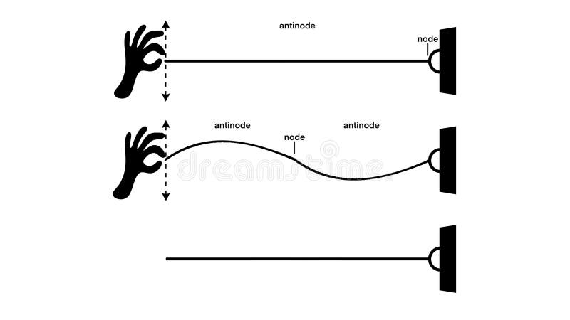 Educational Illustration of Standing Waves on a String Fixed at One End ...