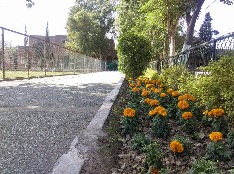 Edwardes college Peshawar stock image. Image of beautiful - 111086701