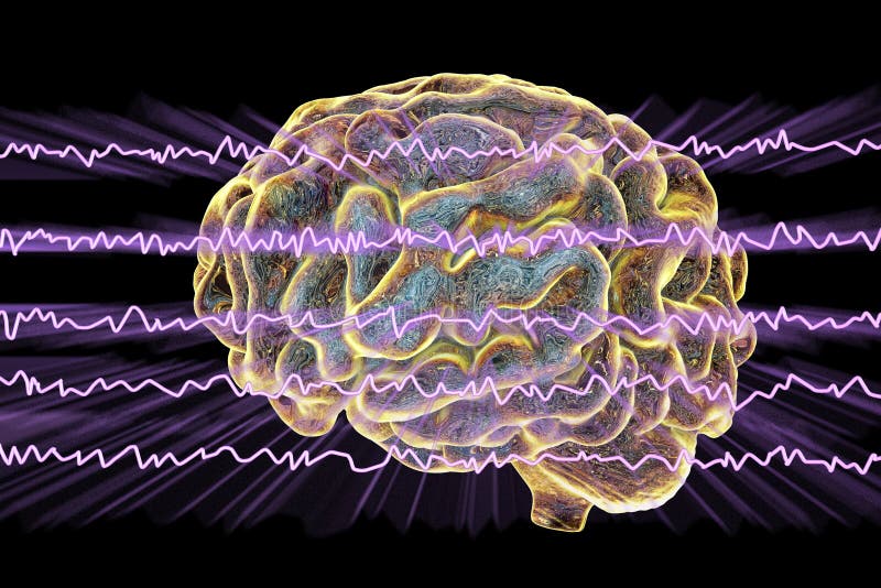 EEG Electroencephalogram, Brain Wave in Deep Sleep Stock Illustration ... EEG Electroencephalogram, Brain Wave in Deep Sleep Stock Illustration ...