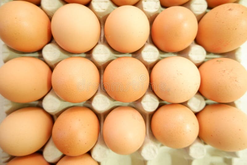 Eegs stock photo. Image of recycle, brown, eggsplan - 197536814