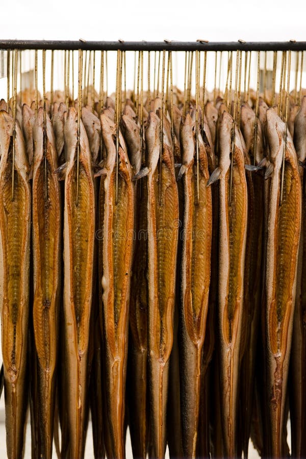 Smoked eel stock image. Image of food, smokehouse, smoking - 21031075