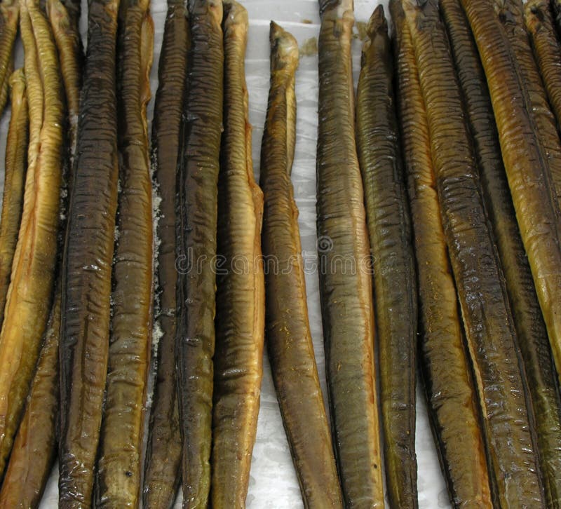 Smoked eel stock image. Image of food, smokehouse, smoking - 21031075