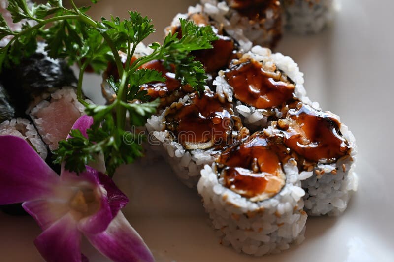 Eel Avocado Sushi Roll stock image. Image of rice, pieces - 163439285