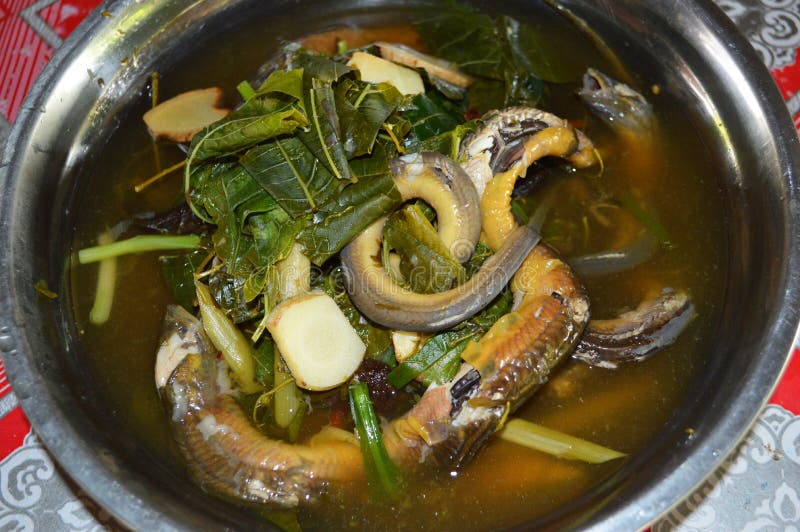 2,227 Cooked Eel Stock Photos - Free & Royalty-Free Stock Photos from ...