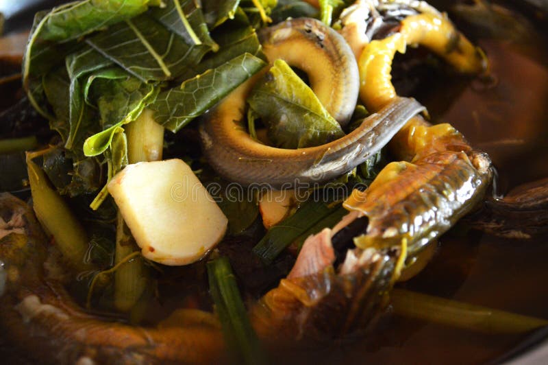 2,227 Cooked Eel Stock Photos - Free & Royalty-Free Stock Photos from ...