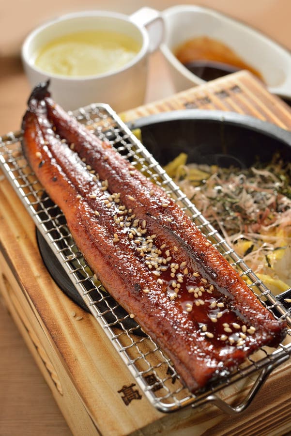 Eel fish hot pot stock photo. Image of fish, rice, cuisine - 96031584