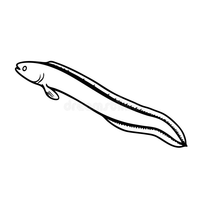 Eel Line Art Stock Illustrations – 674 Eel Line Art Stock Illustrations ...