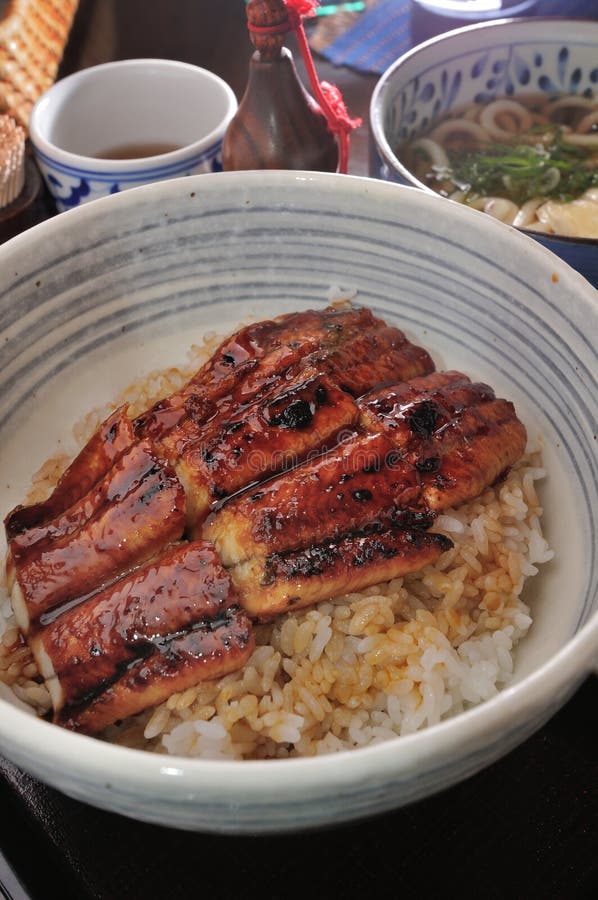 Eel rice and Udon stock image. Image of fish, rice, glutinous - 55796551