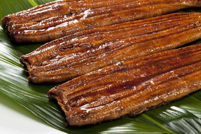 Grilled Eel / Unagi, Japanese Stock Image - Image of fresh, dishes: 4720333