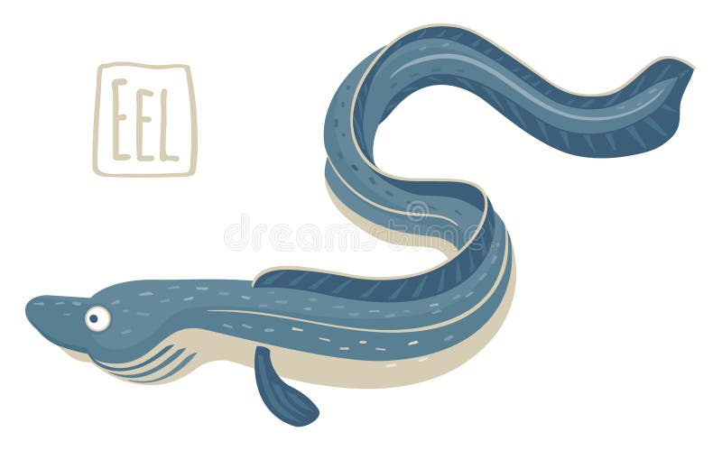 Eel, Vector Illustration Stock Vector - Image: 63132044