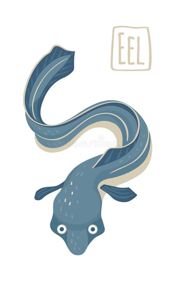 Eel, vector illustration stock vector. Illustration of fishing - 63132100