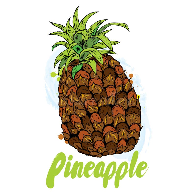 Een Ananas Vector Illustratie Vector Illustratie - Illustration of ...