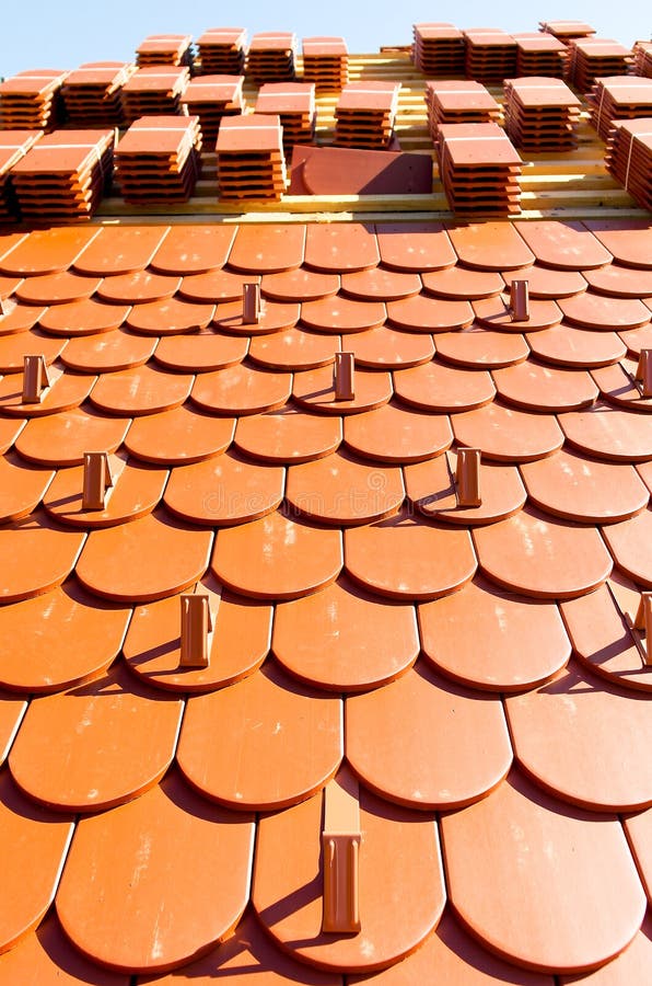 Daktegels in De Vorm Van Een Beverstaart Stock Afbeelding - Image of ...