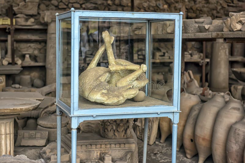 Een Lichaam Van Dode Hond in Pompei, Italië Redactionele Fotografie ...
