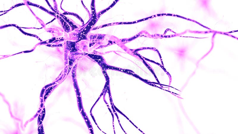 Een menselijke zenuwcel stock illustratie. Illustration of neuron ...