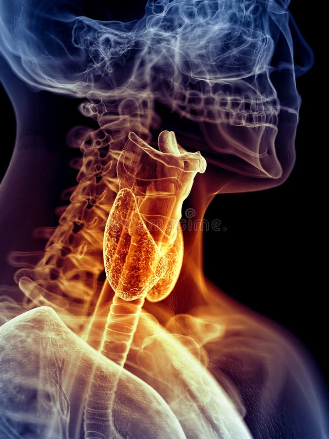 Een ontstoken keel stock illustratie. Illustration of illustratie ...