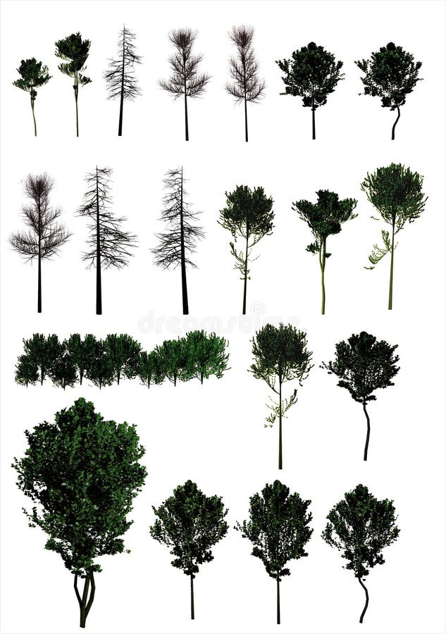 Een reeks bomen. (PNG) stock foto. Illustration of ontwerp - 35273306