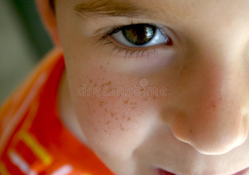 Een Sproet Onder Ogen Gezien Jongen Stock Afbeelding - Image of ...