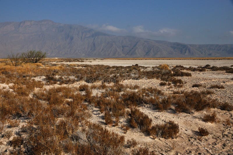 Een Woestijnvallei in Mexico Stock Foto - Image of zand, woestijn: 23309830